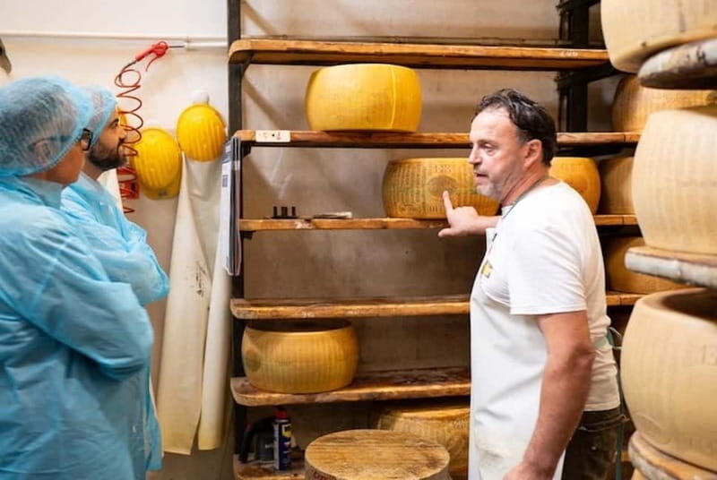 From Bologna: Parmesan, Wine, and Prosciutto Tour - Authentic Experiences & Real Perspectives