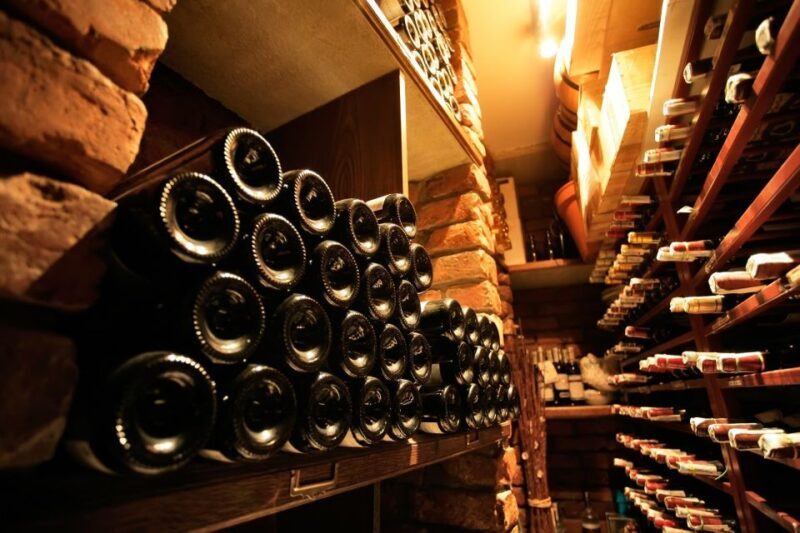From Bologna: Wine Tasting and Vineyard Tour - Key Points