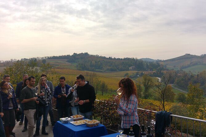 From Bologna: Wine Tasting and Vineyard Tour with the winemaker - Introduction