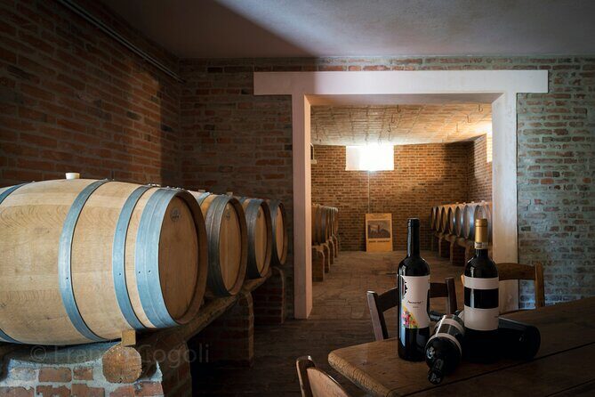 From Bologna: Wine Tasting and Vineyard Tour with the winemaker - What Could Be Improved