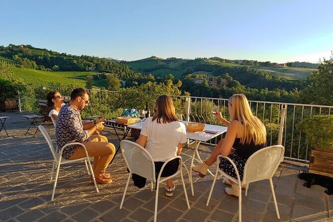 From Bologna: Wine Tasting and Vineyard Tour with the winemaker - Practical Tips for Travelers