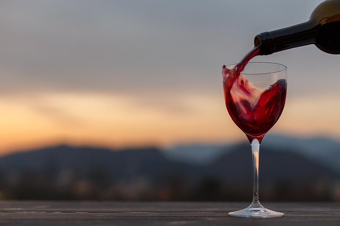 From Bologna: Wine Tasting and Vineyard Tour with the winemaker - Who Will Enjoy This Experience?