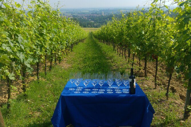 From Bologna: Wine Tasting and Vineyard Tour with the winemaker - Frequently Asked Questions