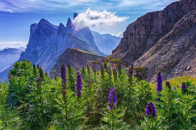 From Bolzano: Private Tour of Dolomites in Mount Seceda and Funes Valley - The Sum Up
