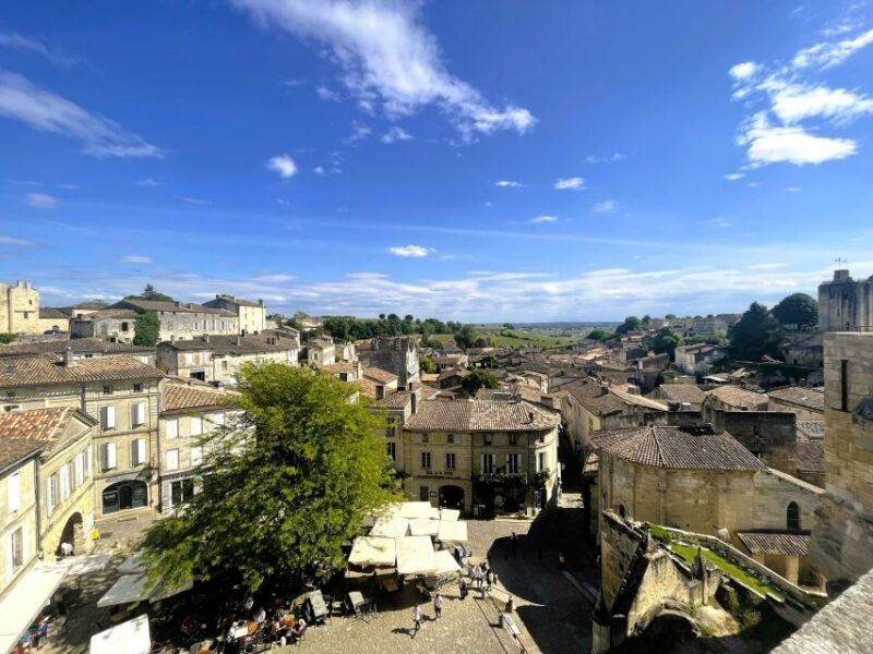 From Bordeaux: Afternoon Saint-Emilion Wine Tasting Trip - What to Expect on the Tour