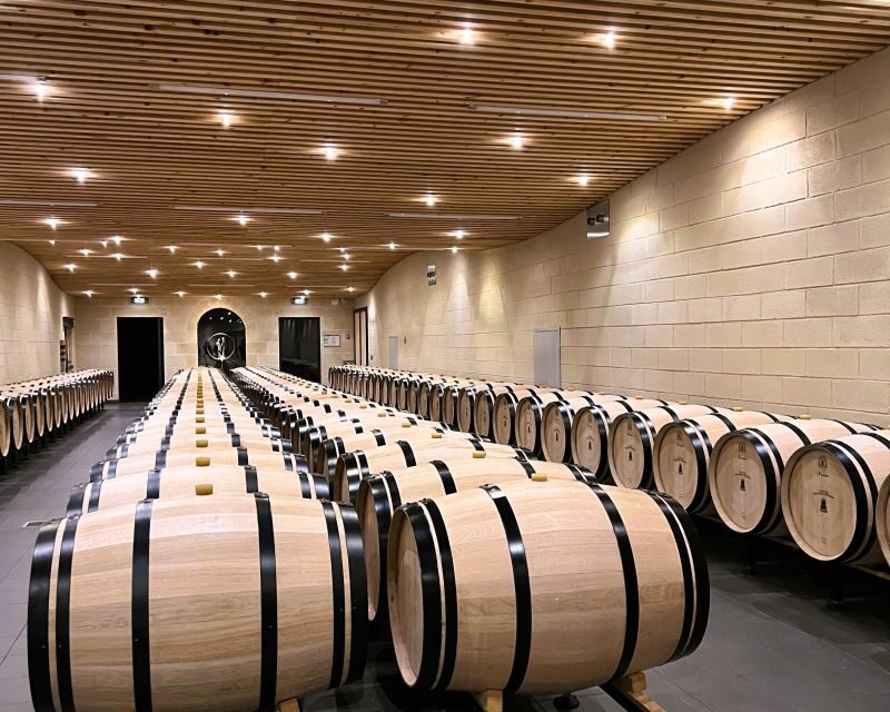 From Bordeaux: Afternoon Saint-Emilion Wine Tasting Trip - Who Will Love This Tour?