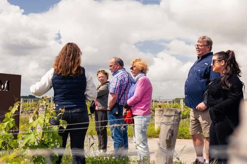 From Bordeaux: Afternoon Wine Tasting in the Medoc Region - An In-Depth Look at the Experience