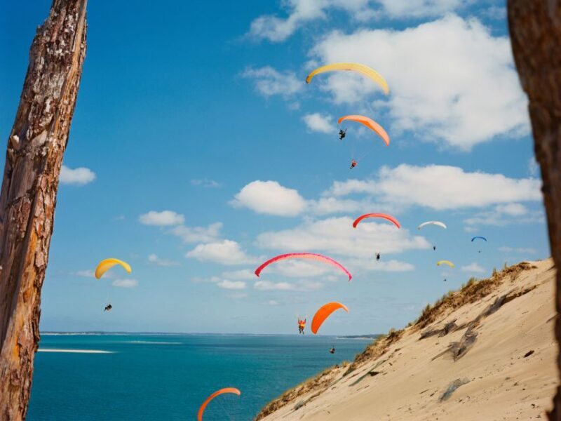 From Bordeaux: Arcachon and Pilat Dune Private Tour - Who Is This Tour Best For?