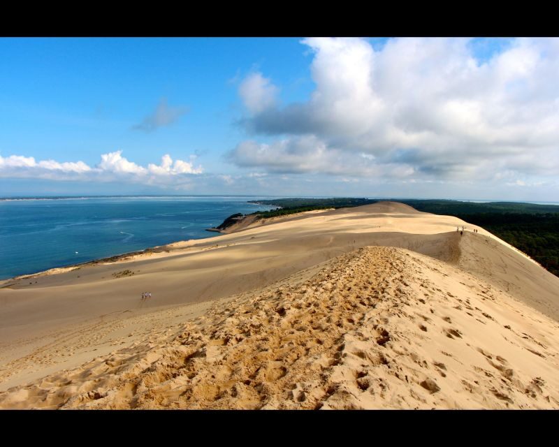 From Bordeaux: Arcachon Bay Afternoon and Seafood - A Genuine Look at the Tour Experience