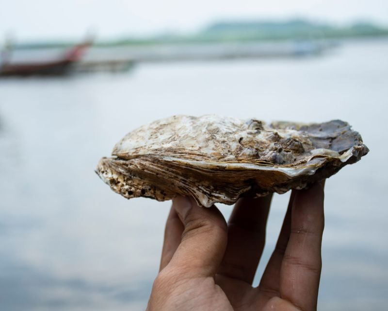 From Bordeaux: Arcachon Bay Afternoon and Seafood - Practical Details: Why They Matter