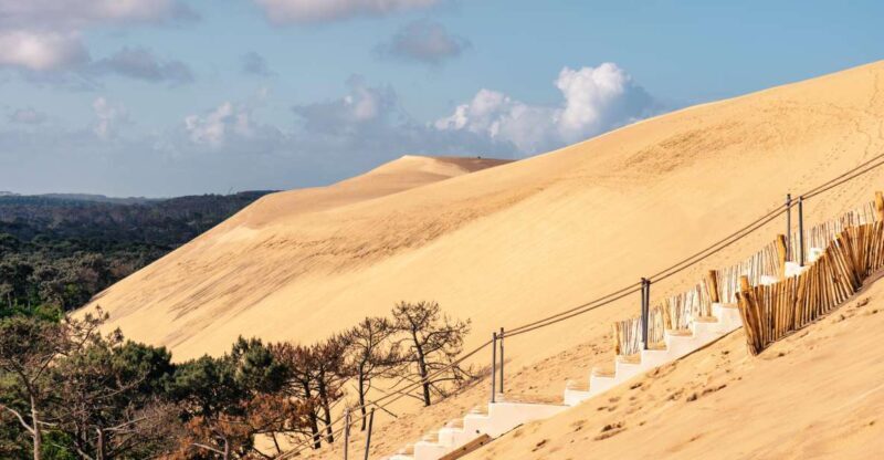 From Bordeaux: Arcachon Bay Full Day Tour and Oyster Lunch - A Closer Look at the Tour Experience