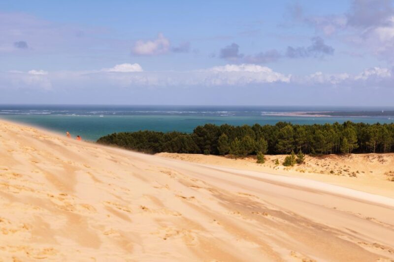 From Bordeaux: Arcachon Bay Full Day Tour and Oyster Lunch - Practical Considerations