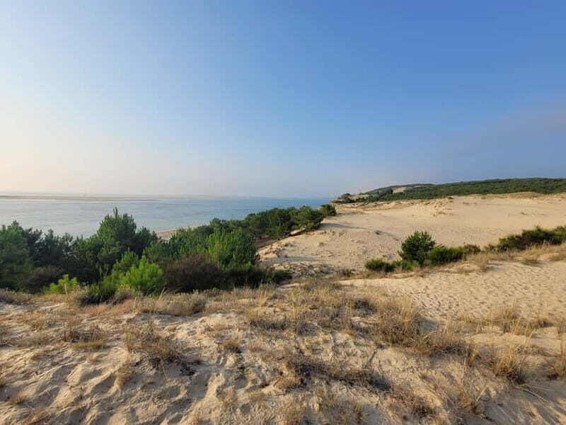 From Bordeaux: Dune du Pilat, Arcachon Bay and Oyster Village Private Tour - An Entertaining and Informative Day of Natural and Cultural Highlights