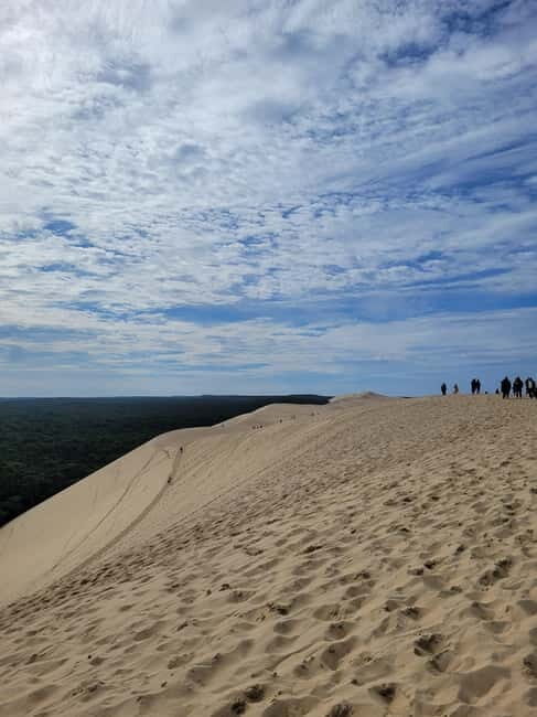 From Bordeaux: Dune du Pilat, Arcachon Bay and Oyster Village Private Tour - What Reviewers Love