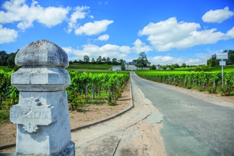 From Bordeaux: Full-Day St Emilion Wine Tasting Tour - Discovering the Saint-Émilion Tour Experience
