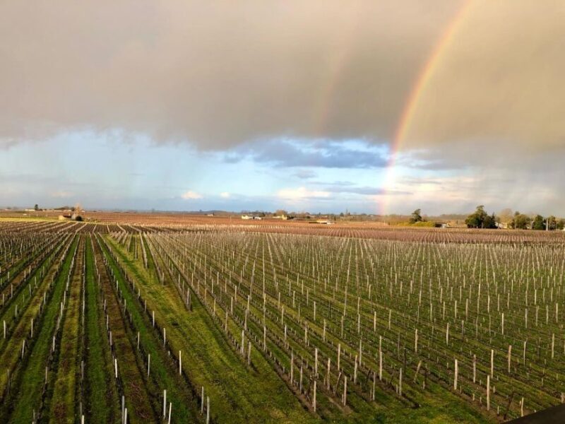 From Bordeaux: Half-Day Saint-Emilion Wine Tour - Key Points