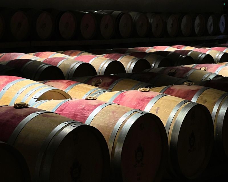 From Bordeaux: Medoc Winery Morning Tour with Wine Tasting - The Sum Up