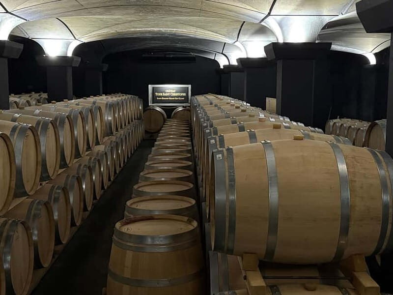 From Bordeaux: Private Tour in the Chateaux of Saint-Émilion - An Overview of What Youll Experience
