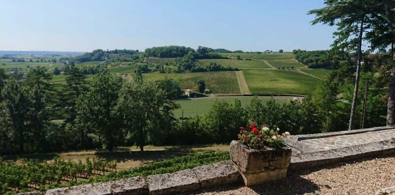 From Bordeaux: Private Tour in the Chateaux of Saint-Émilion - What the Reviews Say