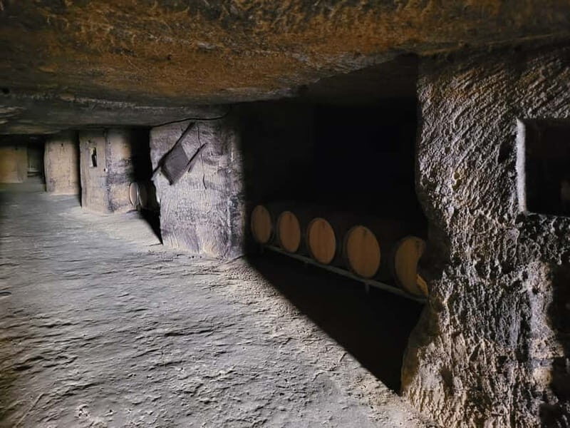 From Bordeaux: Private tour Monbazillac (Castle, Wine & Food in Dordogne) - A Closer Look at the Experience: What You Can Expect