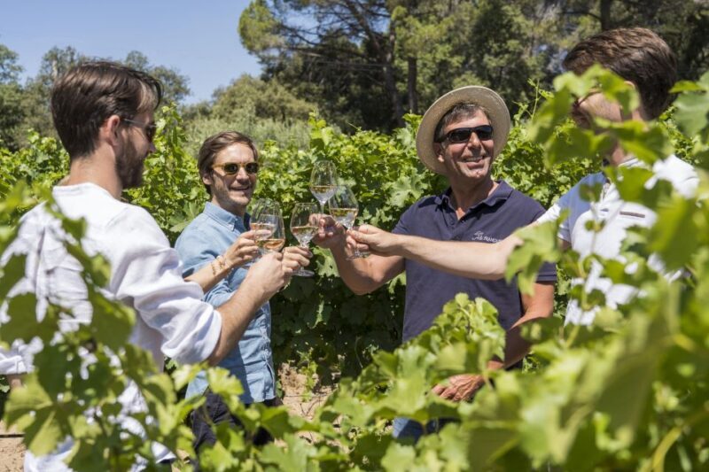 From Bordeaux: Saint-Emilion Day Trip with Lunch and Wine - A Closer Look at the Itinerary and What You Can Expect