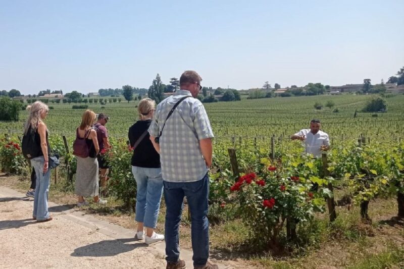 From Bordeaux: Saint-Emilion Guided Wine Tasting Tour - Who Should Consider This Tour