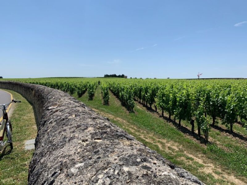 From Bordeaux: Saint-Emilion Guided Wine Tasting Tour - Final Thoughts