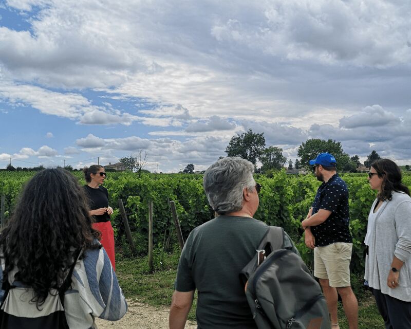 From Bordeaux: Saint-Émilion Half-Day Tour with Wine Tasting - An Overview of the Experience
