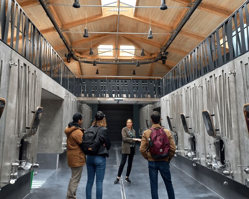 From Bordeaux: Saint-Émilion Half-Day Tour with Wine Tasting - The Winery Visit: Organic Wine Tasting with a Difference