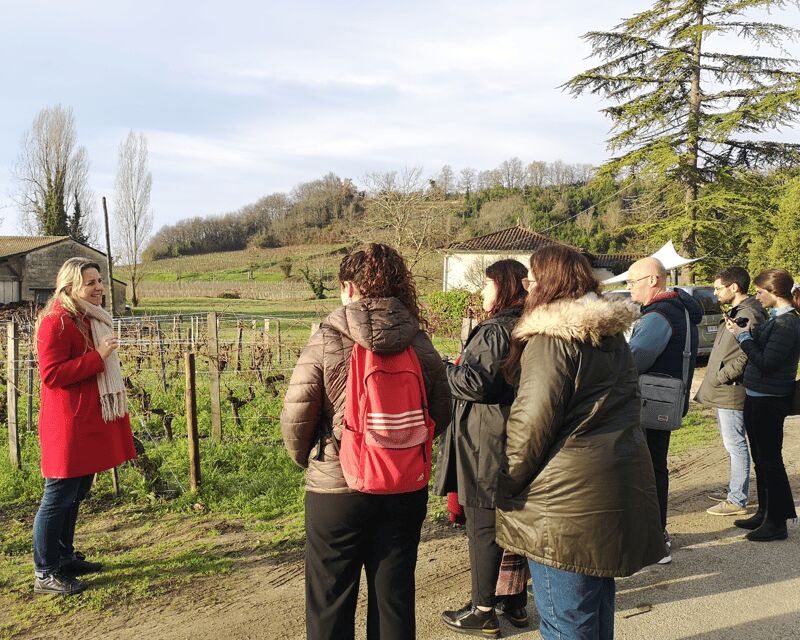 From Bordeaux: Saint-Émilion Half-Day Tour with Wine Tasting - Practical Details: Transportation, Timing, and Group Size