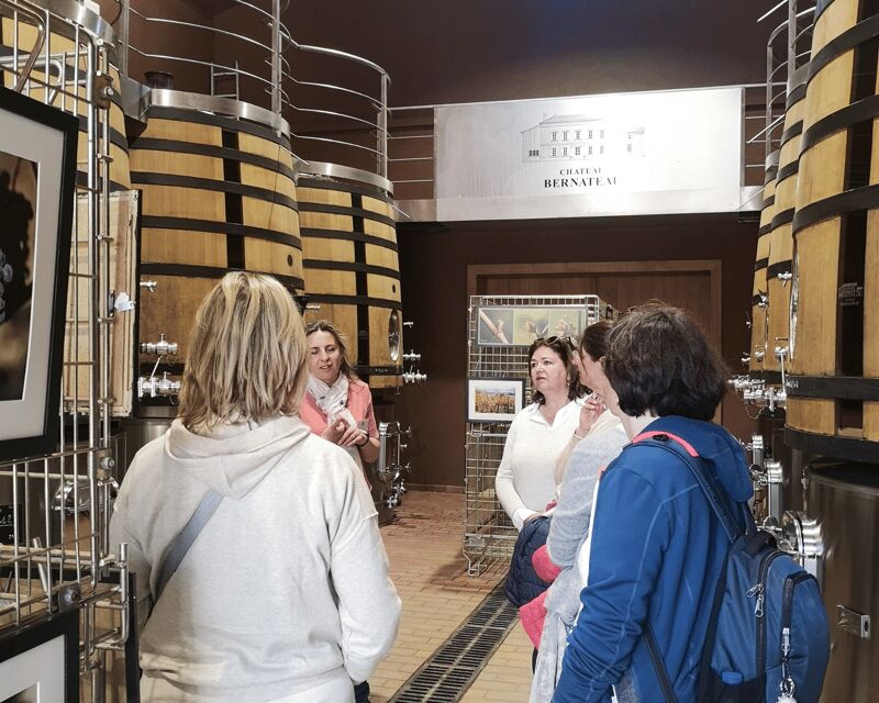 From Bordeaux: Saint-Émilion Half-Day Tour with Wine Tasting - Who Is This Tour Best For?