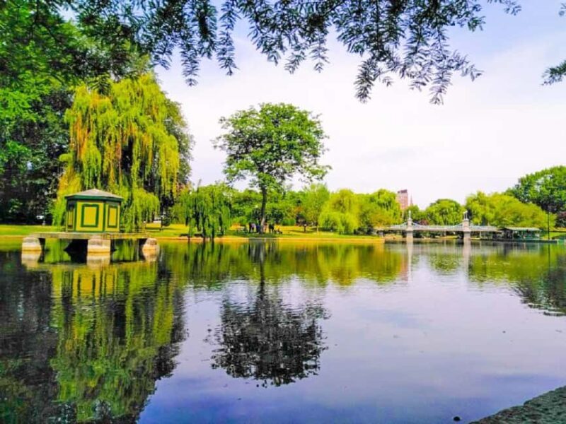 From Boston:Public Garden,Beacon Hill&More Half Day tour - Key Points
