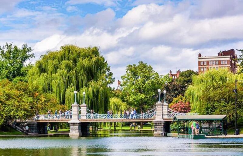 From Boston:Public Garden,Beacon Hill&More Half Day tour - A Detailed Look at What This Tour Offers