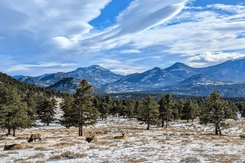 From Boulder or Denver: Rocky Mountain National Park Tour - An In-Depth Look at the Rocky Mountain National Park Tour