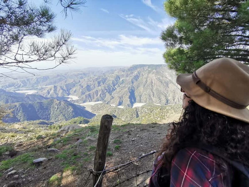 From Bova: Private Trek to Aspromonte National Park - Key Points