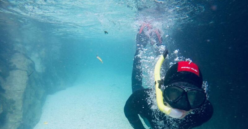 From Bovec: Soa Valley Snorkeling & Riverwalking - Who Will Love this Experience?