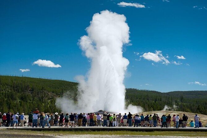 From Bozeman Exclusive Yellowstone Tour 2 Days and 1 Night - The Sum Up