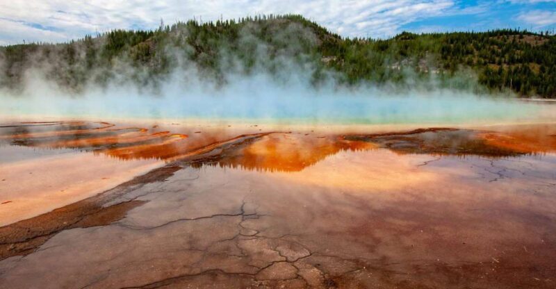 From Bozeman: Yellowstone Day Tour (Lower Loop) - Key Points