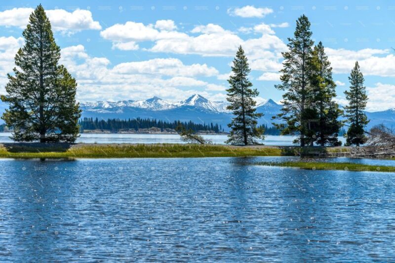 From Bozeman: Yellowstone Day Tour (Lower Loop) - Who Will Love This Experience?