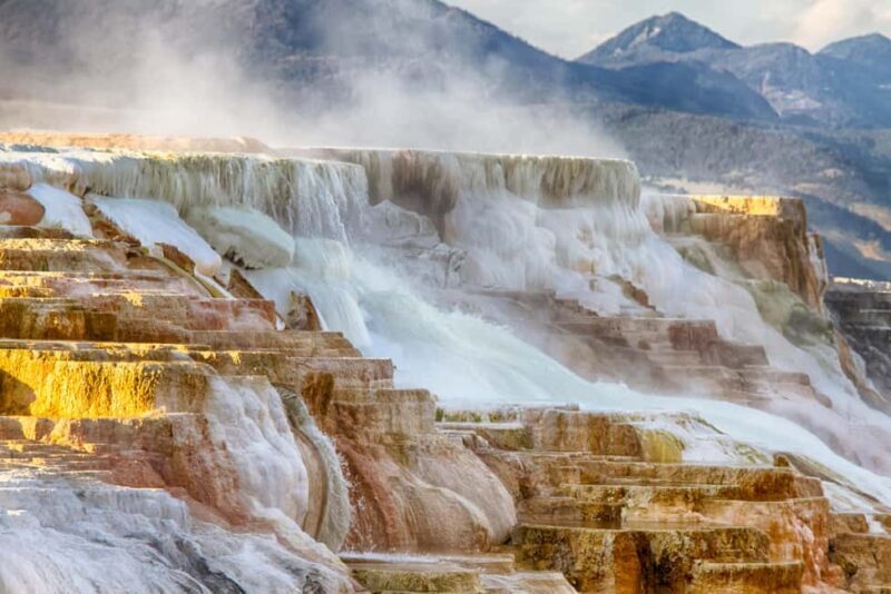 From Bozeman: Yellowstone Day Tour (Upper Loop) - Key Points