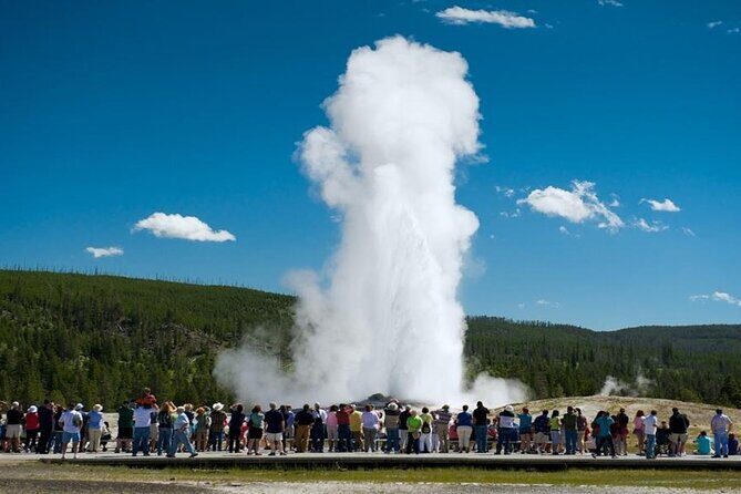 From Bozeman Yellowstone Full Day Tour Lower Loop - An In-Depth Look at the Itinerary