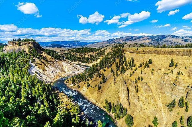 From Bozeman Yellowstone Full Day Tour Upper Loop - FAQ