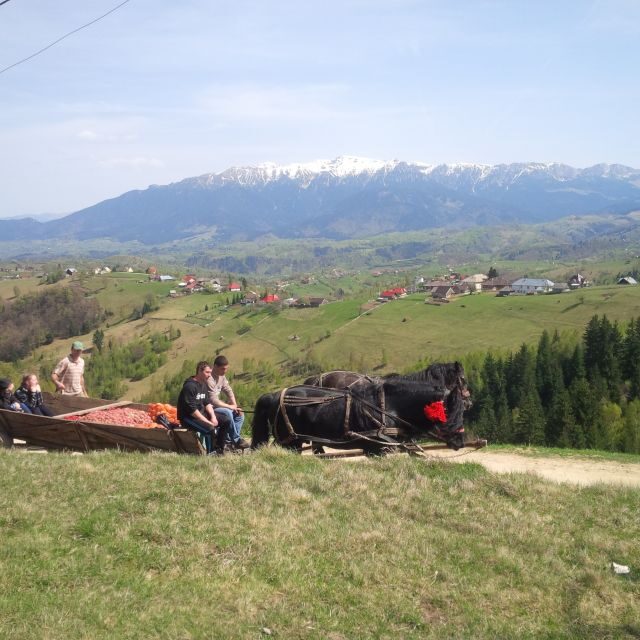 From Braov: Half or Full Day Transylvania Jeep Tour - Key Points