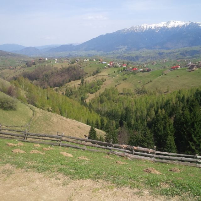 From Braov: Half or Full Day Transylvania Jeep Tour - Exploring the Routes: What to Expect on This Jeep Adventure