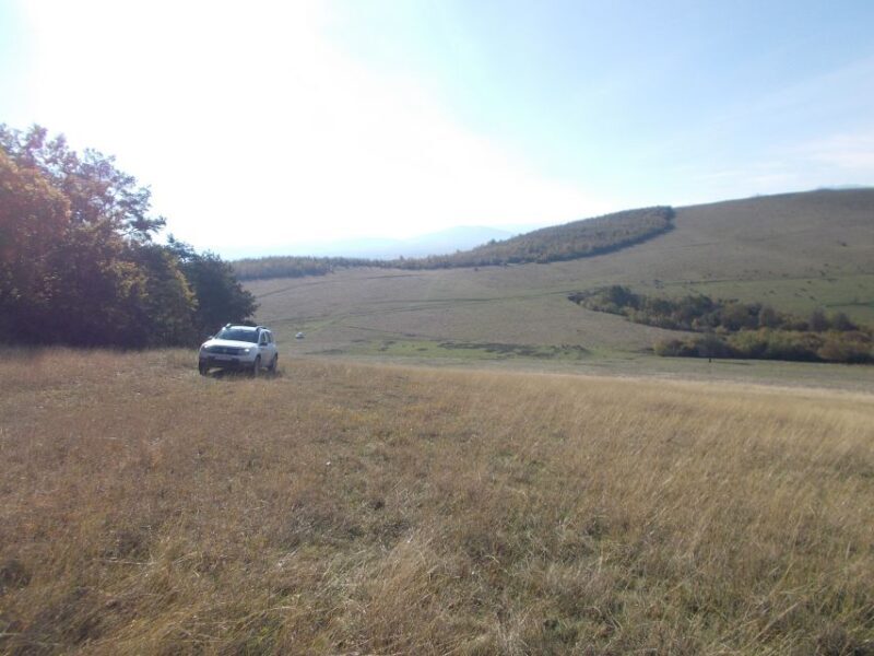 From Braov: Half or Full Day Transylvania Jeep Tour - Who Will Love This Tour?