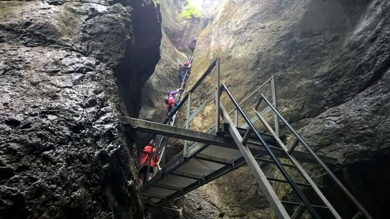 From Brasov: Day Trip to the Seven Ladders Canyon - From Brasov: Day Trip to the Seven Ladders Canyon — A Detailed Review