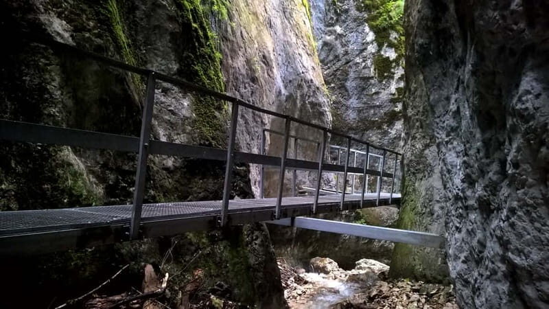 From Brasov: Day Trip to the Seven Ladders Canyon - The Sum Up: Is This Tour Worth It?