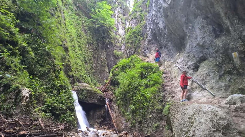 From Brasov: Day Trip to the Seven Ladders Canyon - FAQ