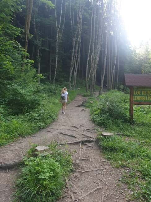 From Brasov : Hiking in Piatra Craiului National Park - Key Points