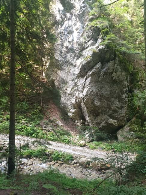From Brasov : Hiking in Piatra Craiului National Park - The Itinerary in Detail